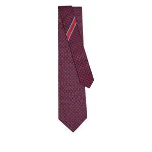 FERRAGAMO Salvatore Ferragamo Printed Silk Neck Tie - Multicolor