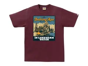 A BATHING APE Base Camp Tee Shirt