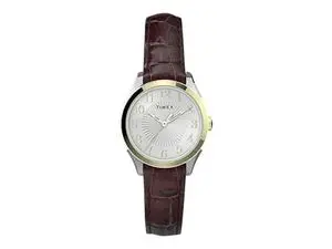 Timex® Briarwood Tw2u68100 Watch