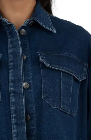 Kut From The Kloth Remy Denim Trucker Jacket