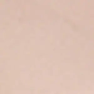 Chloé Ch0286s Rectangle Sunglasses - Brown