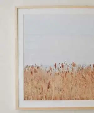 DANIELLA DOLENC Motion Framed Print