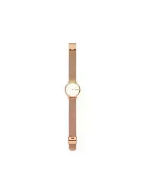 Skagen Signatur Lille 30mm Timepiece - Gold