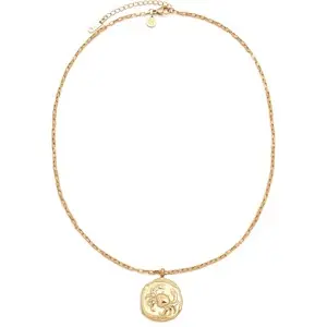 PETIT MOMENTS Horoscope Charm Pendant Necklace - Goldancer