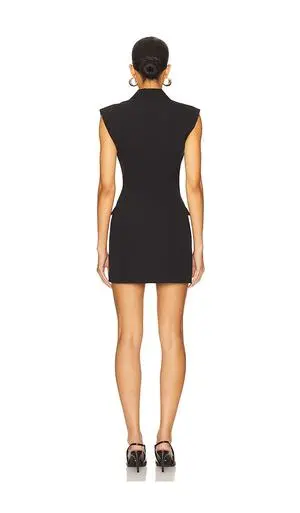LOVERS AND FRIENDS Brieanna Mini Dress