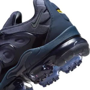 Nike Vapormax Plus Sneakers - Blue