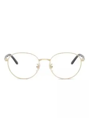 Ray-ban Round-frame Glasses