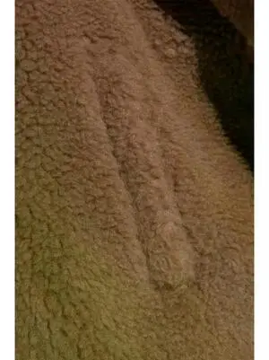 Max Mara Teddy Bear Icon Coat