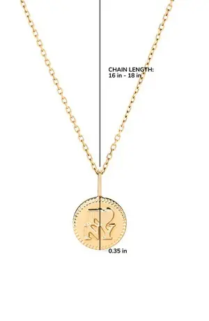 ANA LUISA Solid Nyc Charm Necklace
