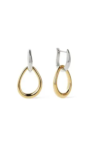 ANA LUISA Gold Plated Drop Earrings - Two Tone
