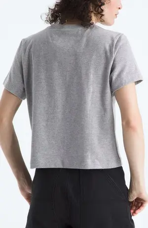 The North Face Essential T-shirt - Tnf Pale Grey Heather