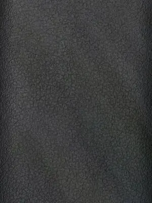 Roberto Cavalli Leopard-print Belt