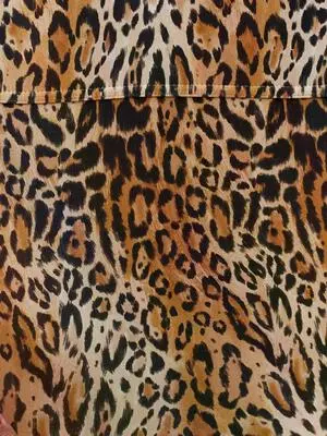 Melissa Odabash Costa Cheetah-print Bikini Top