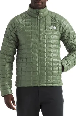 The North Face Quilted Down