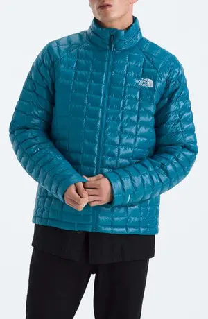 The North Face Quilted Jackets For Men