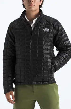 The North Face Quilted Jackets For Men