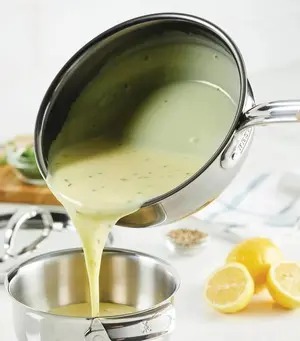 HESTAN Stainless Steel Nanobond Saucepan With Lid