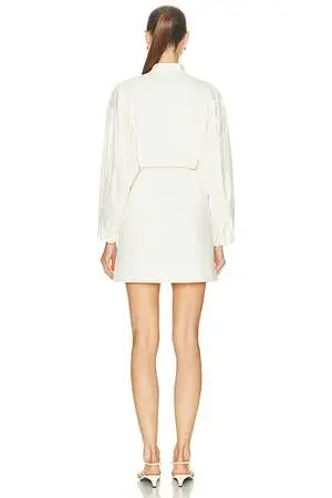 Alexis Miley Shirt Dress