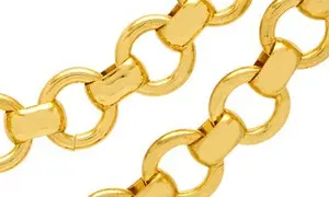 Estée Lauder Chunky Double Chain Toggle Necklace