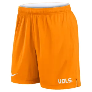 Nike Drawstring Shorts For Men
