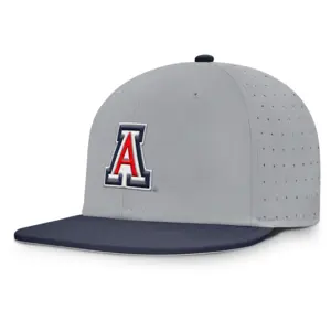 Nike Arizona Dugout True Dri-fit College Fitted Hat - Grey