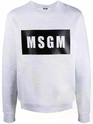 Msgm Logo Sweatshirts Hoodies For Men