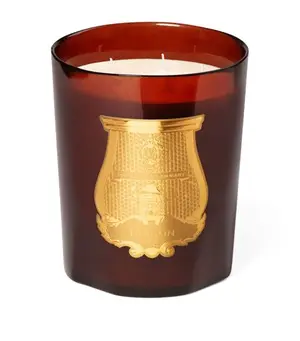 TRUDON Cire Candle - Brown