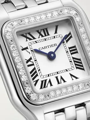 Cartier Panthère De Stainless Steel Diamond Watch - Gray