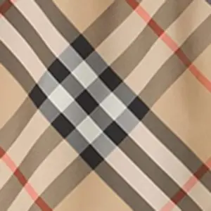 Burberry Check Hooded Jacket - Beige