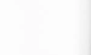 LSA Otis Set Of 2 White Wine Glasses