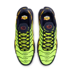 Nike Air Max Plus Sneakers