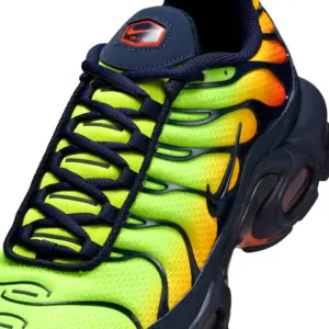 Nike Air Max Plus Sneakers