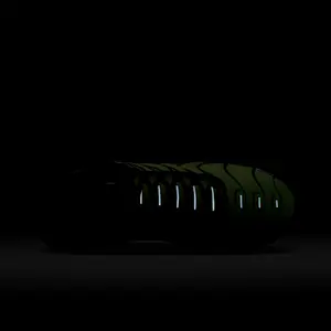 Nike Air Max Plus Sneakers
