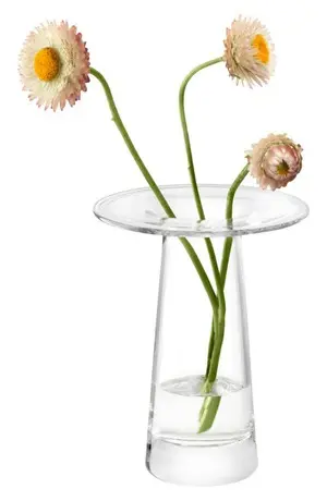 LSA Victoria Glass Vase