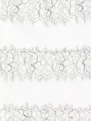 PARLOR Lace-banded Cotton T-shirt