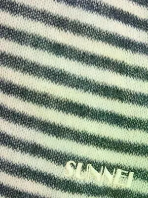 Sunnei Striped Sweater