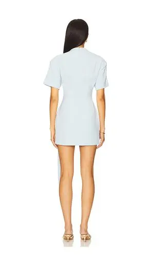 Lioness Martini Mini Dress - Blue