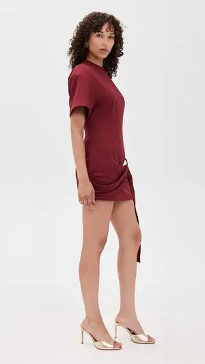 Lioness Martini Mini Dress - Merlot