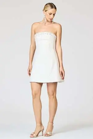 Sachin & Babi Daphne Strapless Mini Dress
