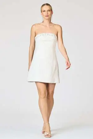 Sachin & Babi Daphne Strapless Mini Dress