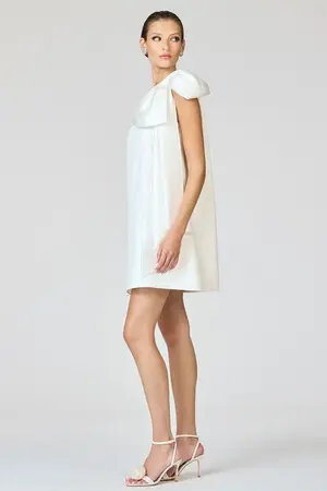 Sachin & Babi Harmony Mini Dress