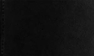 STUART WEITZMAN Stassi Zip Bootie 50 - Black Suede