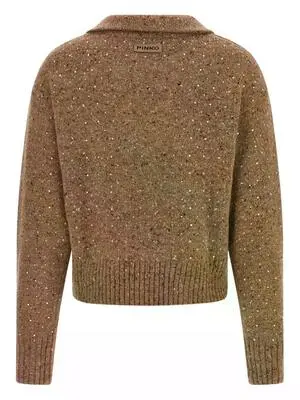 Pinko Nibani Rhinestone-embellished Sweater - Brown