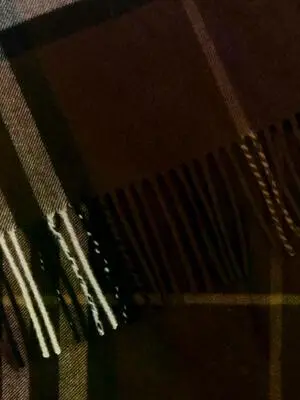 Burberry Wide Check Cashmere Scarf - Brown