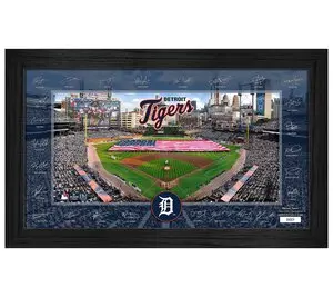 HIGHLAND MINT Detroit Tigers 2025 Signature Fie Ld Frame - One-color