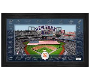 HIGHLAND MINT New York Mets 2025 Signature Fiel D Frame - One-color