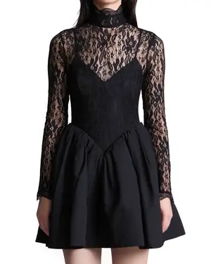 Bcbgmaxazria Stretch Lace Bubble Dress