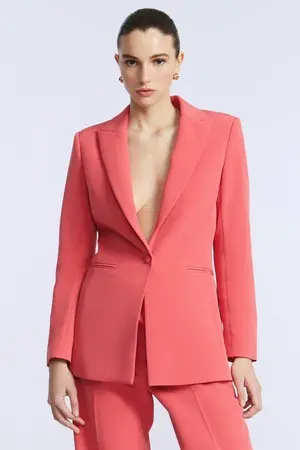Bcbgmaxazria Cady Blazer