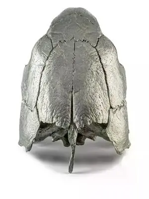 PARTS OF FOUR Turtle-skull Sculpture