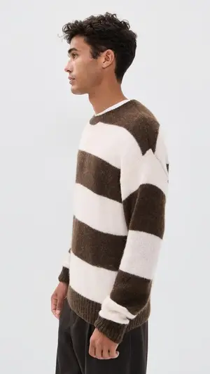Closed Stripe Crewneck Jumper